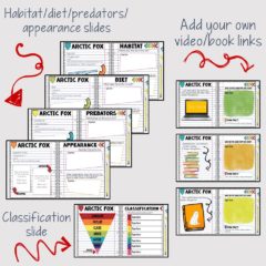 FREE Arctic Fox Digital Interactive Notebook | Homeschool| Science ...