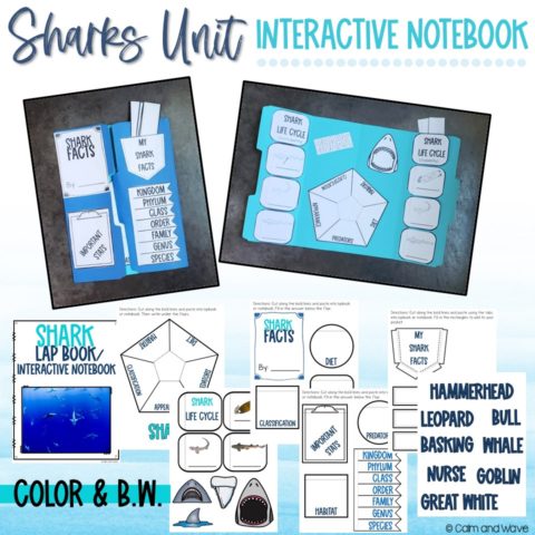 Sharks Printable Worksheet Unit Study with Lapbook or Interactive ...