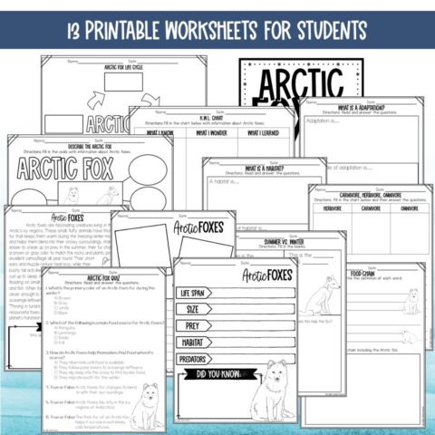Digital Interactive Arctic Fox Notebook for Homeschool or Distance ...
