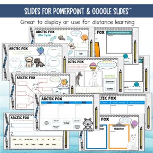 Free Elementary Arctic Fox Digital Interactive Notebook with Worksheets ...